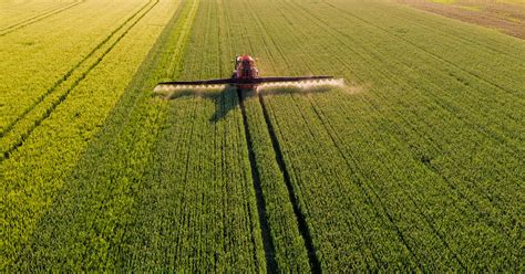 녹색 밀밭을 뿌리는 농부 사진 Unsplash의 밀 농장 이미지