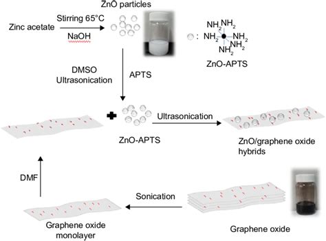 Illustration For The Synthesis Of The Znographene Oxide Composites Download Scientific