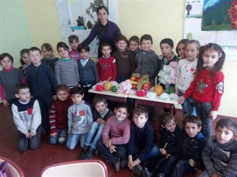 სსიპ ქალაქ ხობის №1 საჯარო სკოლა V ე კლასის ბლოგი ноября 2018