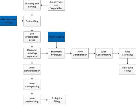 Ome Juice Process Introduction Ibc Machine