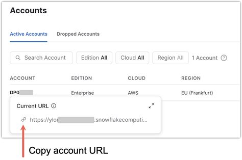 Use Snowflake For Synthetic Data Mostly Ai Docs