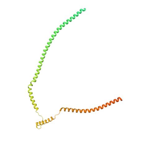 Rcsb Pdb 7sqk Cryo Em Structure Of The Human Augmin Complex