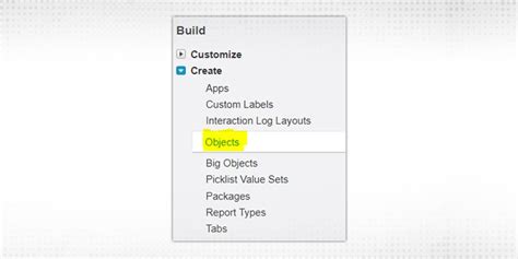 Create Salesforce Application Objects Tabs And Schema Builder
