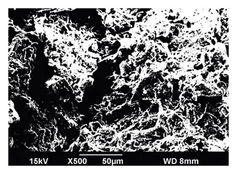 sem image processing a binary processing b microstructural