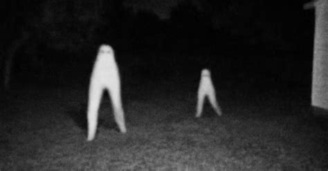 Fresno Nightcrawlers Facts And Theories Explored Connect Paranormal Blog