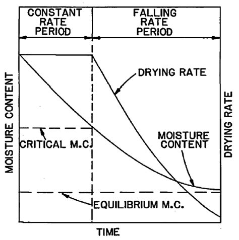 Constant And Falling Rate Periods In Thin Layer Drying Of High Moisture Download Scientific