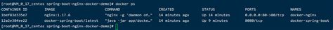 docker jenkins nginx springboot自动化部署项目 docker nginx jenkins 部署