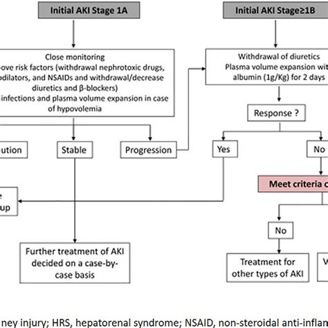 Algorithm For The Diagnosis And Management Of Aki In Patients With