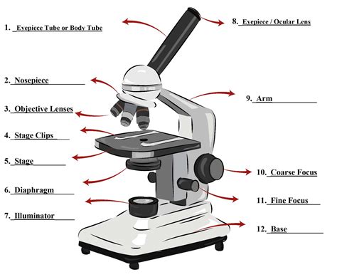 Parts Of A Microscope SmartSchool Systems