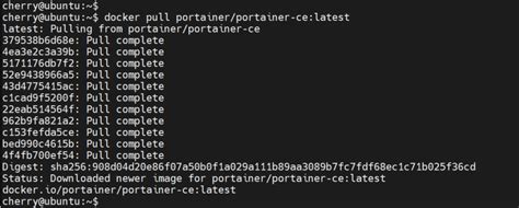how to install portainer on ubuntu 22 04 cherry servers