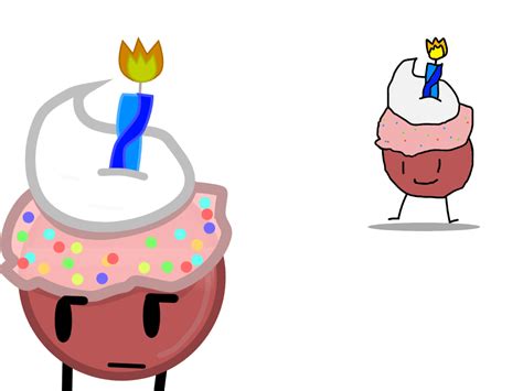 I Do Not Care Hand Drawn B Day Cake Timbit Was A Mistake R Objectshows