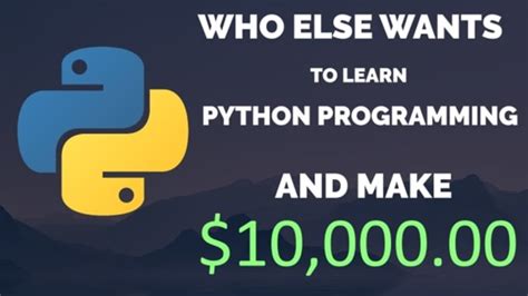 Teach You The Basics Of Python3 By Iamalihamza Fiverr