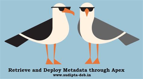 Summer17 Retrieve And Deploy Metadata Through Apex Technical Potpourri From Sudipta Deb