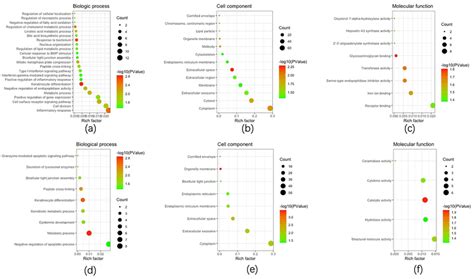 go analysis of degs obtained among the different groups as determined