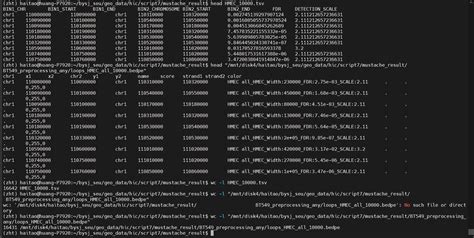 个人hic分析流程搭建6—loop模块分析 Csdn博客