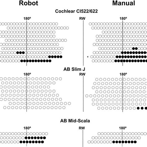 Representation Of The Position Of Each Electrode Following Download Scientific Diagram