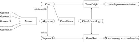 Genomic Analytical Pipeline Used In This Study The Genomes Are First Download Scientific