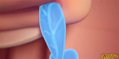 Flexible Game Objectives