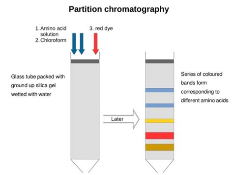 Chromatography Definition Principle Types Applications Biology Notes Online