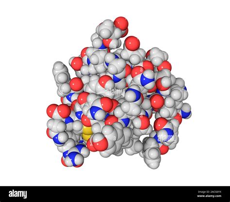 Insulin Molecule Computer Model Showing The Structure Of A Molecule Of The Hormone Insulin