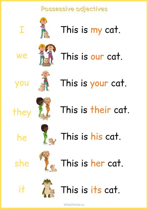 Местоимения в английском языке Материалы для детей Английский язык Уроки английского Английский