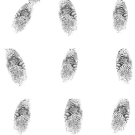 data augmentation rotated fingerprint on ±30 download scientific
