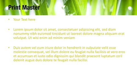 Green Grass PowerPoint Templates Green Grass PowerPoint Backgrounds Templates For PowerPoint