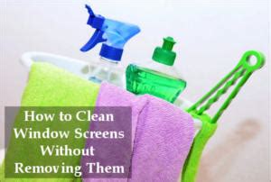 How To Clean Window Screens Without Removing Them