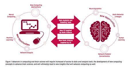 Ccc Brain Workshop Report Ccc Blog