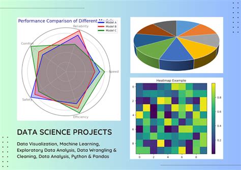 Give Expert Data Scientist Services For Eda Ml And Python Projects By