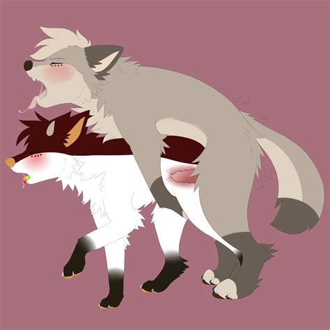 Rule 34 All Fours Animal Genitalia Animal Penis Canine Penis Doggy