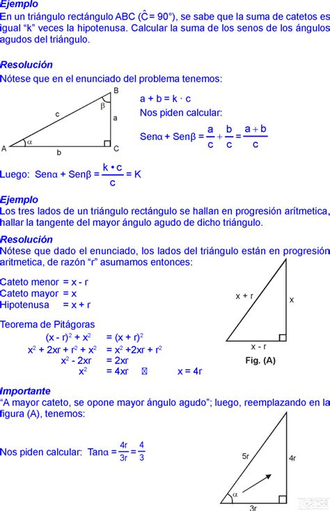 Razones Trigonométricas De Ángulos Agudos Explicaciones Y Ejercicios Resueltos Pdf