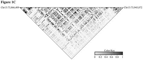 Linkage Disequilibrium Ld Plot In Hapmap Ceu Samples For Snps With