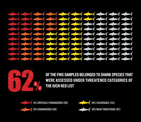 Shark Bycatch Statistics