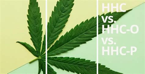 Hhc O Hhc P And Hhc O O A Comparison Of Cannabinoids Music Raiser