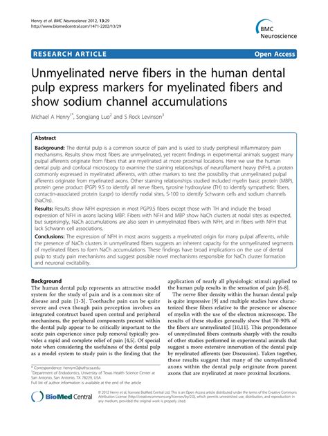 Solution Unmyelinated Nerve Fibers In The Human Dental Pulp Express Markers For Myelinated