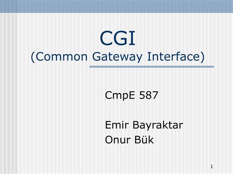 Ppt Cgi Common Gateway Interface Powerpoint Presentation Free