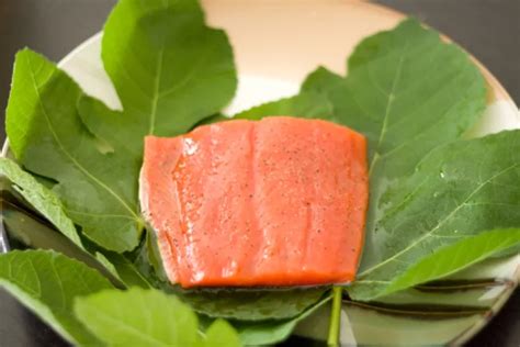 Fig Leaves Recipes To Taste Presto Salmon In Fig Leaves And Refreshing
