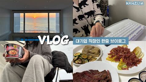 Vlog 새해 갓생을 위한 2023년 마무리 대기업 직장인 브이로그 교대근무 캠핑 새해 다짐 어글리어스