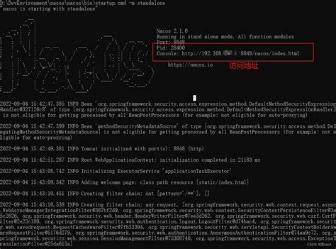 Nacos的简单配置以及使用nacos地址配置 Csdn博客