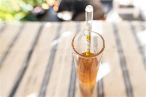 Home Brew Hydrometer Stock Photo Image Of Bottle Liquid