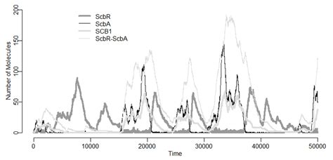 Oscillatory Expression Profiles Engendered By The Negative