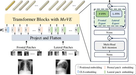 Figure From Unlocking The Power Of Spatial And Temporal Information In Medical Multimodal Pre