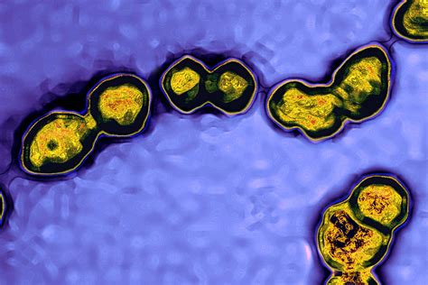Are Strep A Outbreaks Linked To Covid Lockdown What The Experts Say Are Strep A Outbreaks Linked To Covid Lockdown What The Experts Say
