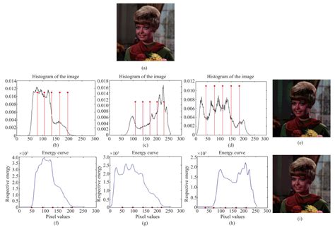 A Context Sensitive Multilevel Thresholding Using Swarm Based Algorithms