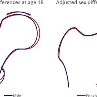Sex Differences In Hip Shape At Age Based On The Difference In Mean Download Scientific