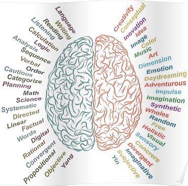 What Is A Qeeg Brain Map Artofit