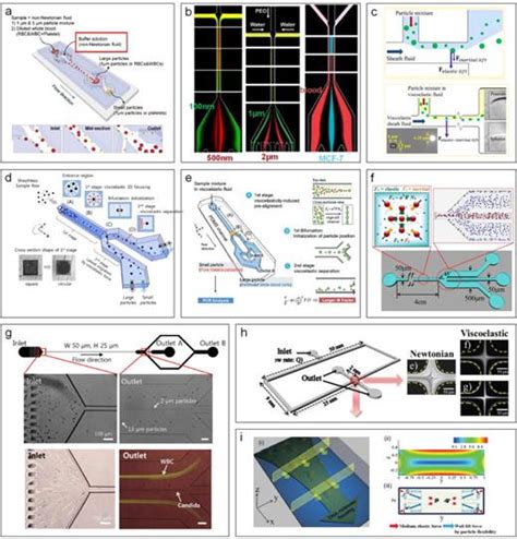Label Free Microfluidic Sorting Of Microparticles Apl Bioengineering Aip Publishing