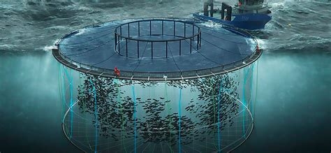 Mooring System