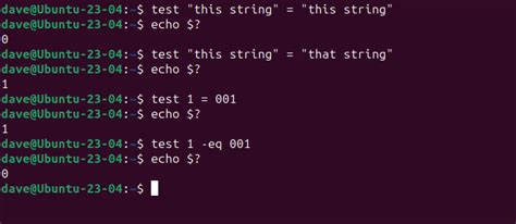How To Use Bash If Statements With Examples